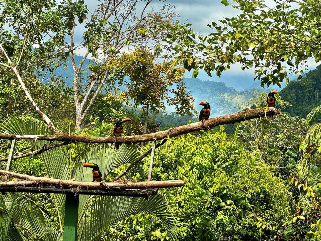 9 de mayo - 23 de mayo de 2025 - Guía Camino de Costa Rica